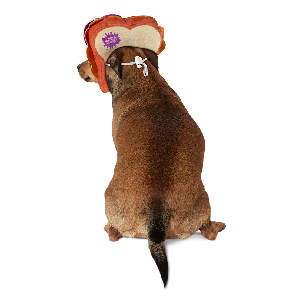 Yummy World Parker the Peanut Butter & Jelly Sandwich Pet Costume Head ...
