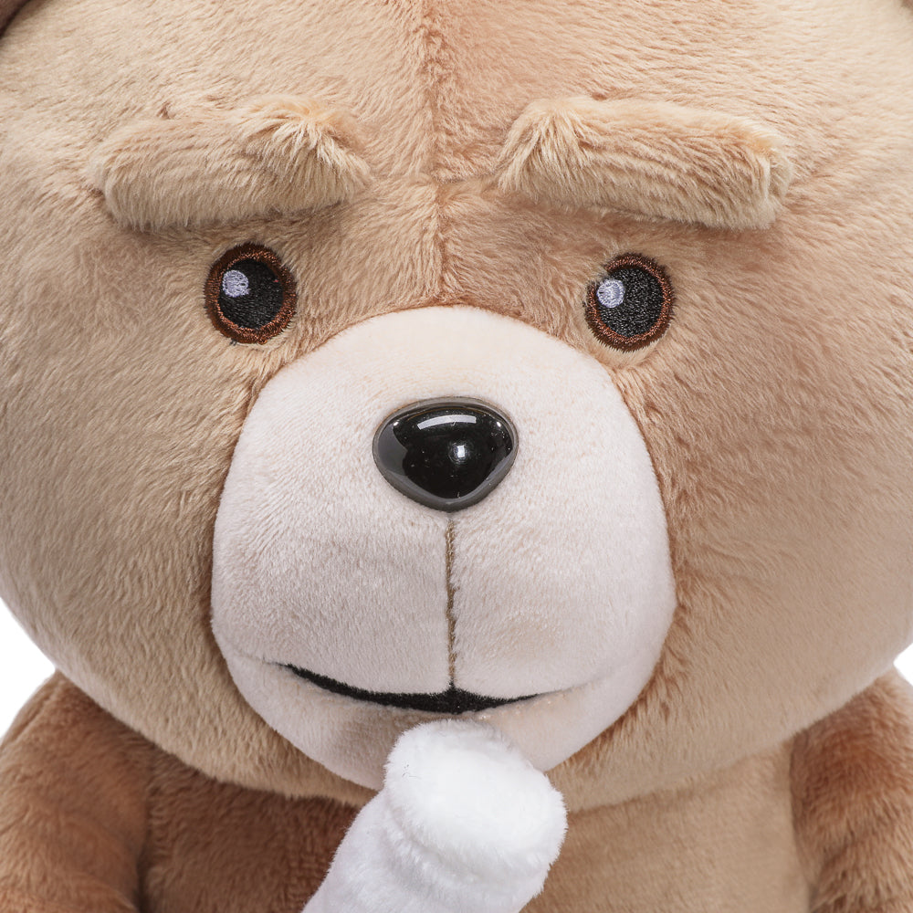 Ted (TV Show) 13” Plush with Sound by Kidrobot | Kidrobot