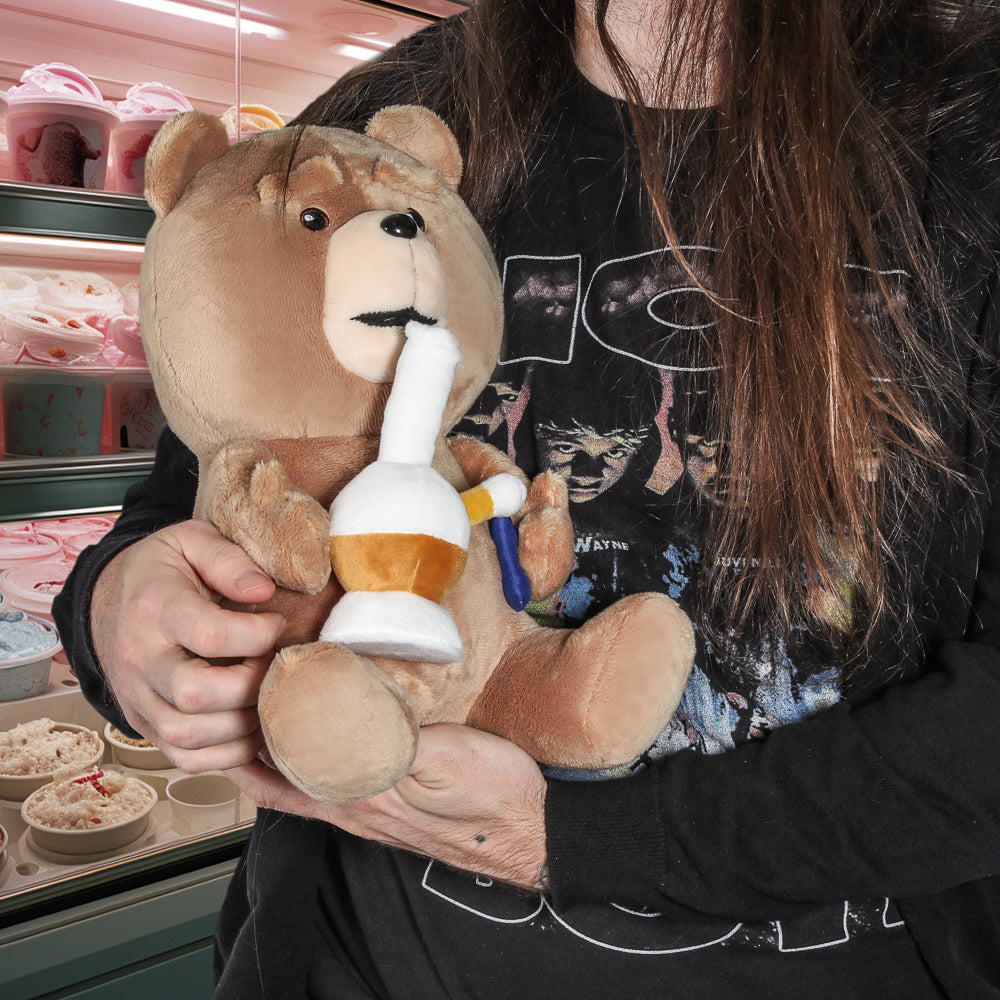 Ted (TV Show) 13” Plush with Sound by Kidrobot | Kidrobot