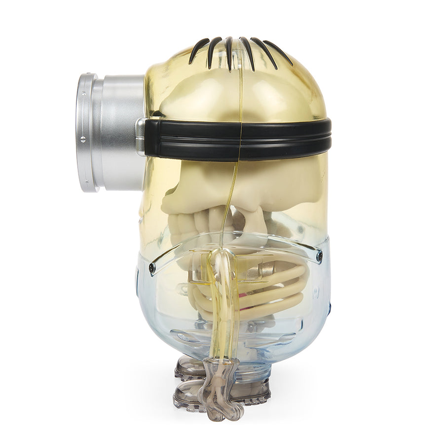 Minions Anatomy 8” Art Figure by Kidrobot - OG Edition (PRE-ORDER ...