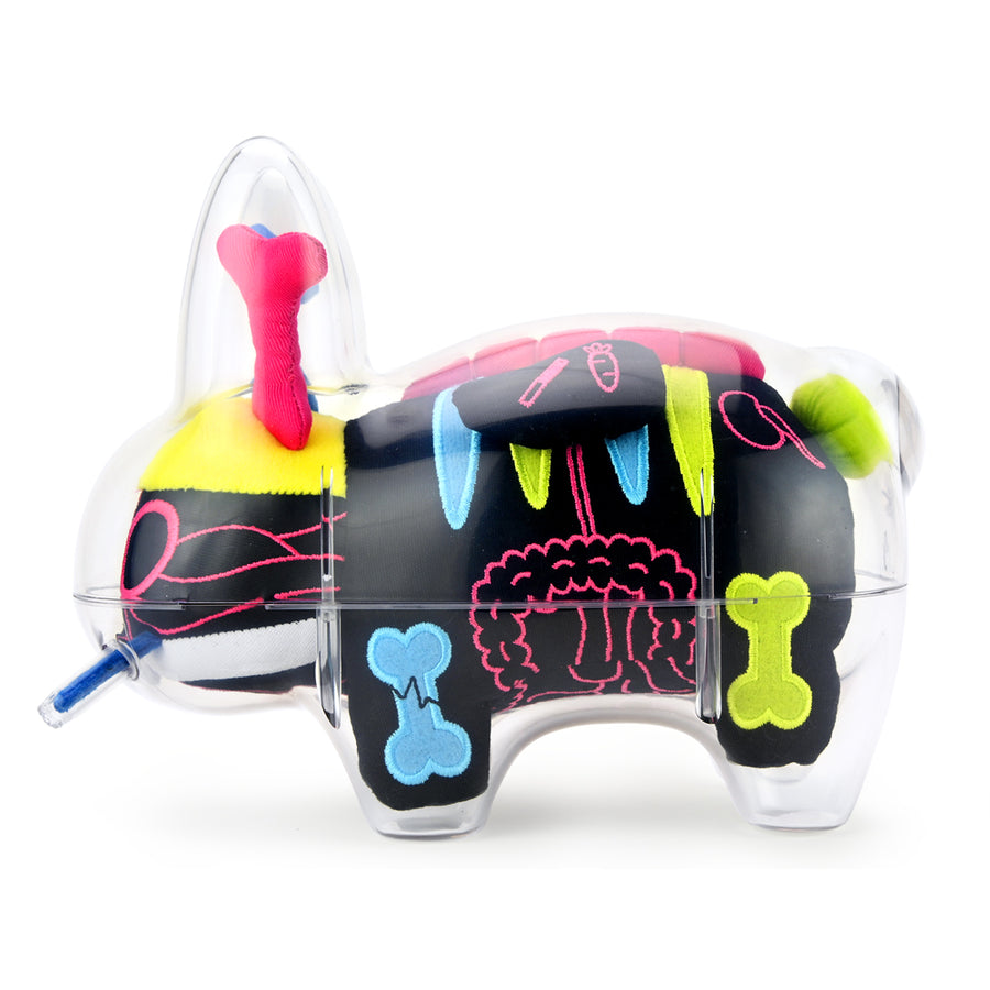 The Visible Labbit 7" Art Toy - Kidrobot Exclusive Neon Edition | Kidrobot